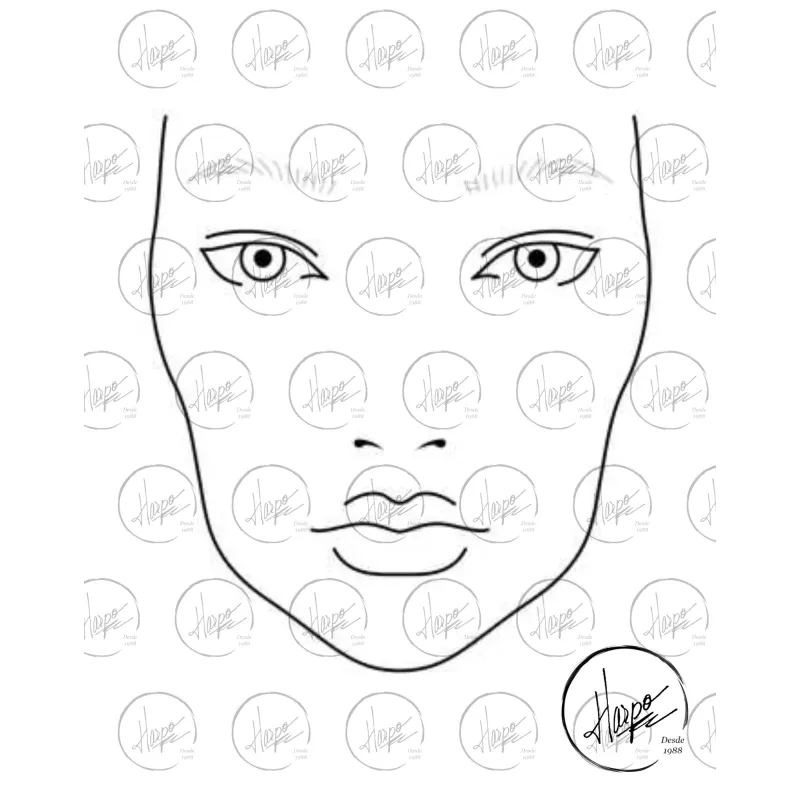 Face Chart